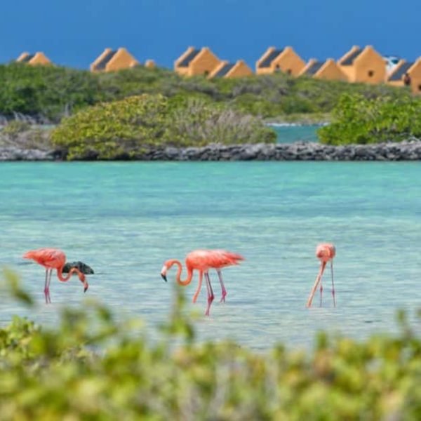 Op het mooie eiland Saba mag je deze 10 dingen niet missen